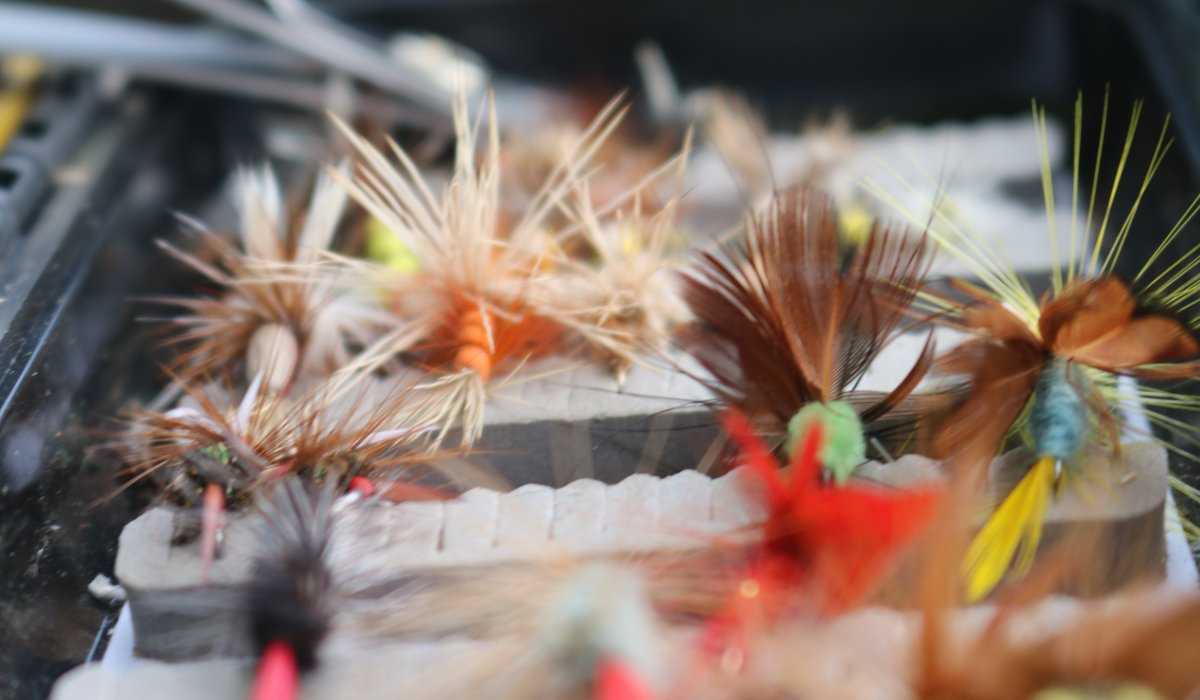 Flugfiske för nybörjare - Så börjar du fiska med fluga