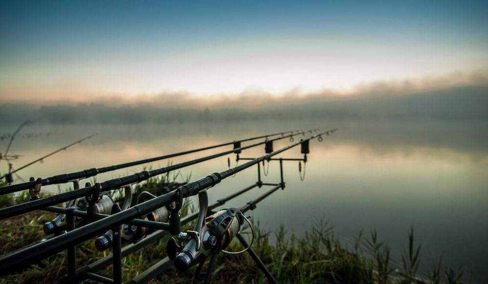 Fiska i Vänern: Den ultimata guiden till Sveriges största insjö