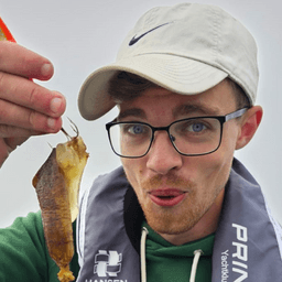 Fiska Abborre - Guide för abborrefisket